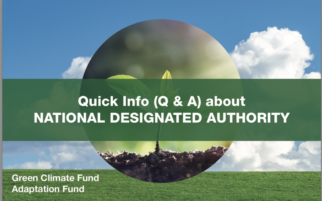 Quick Info (Q & A) about NATIONAL DESIGNATED AUTHORITY - National ...