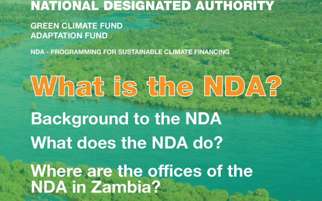 What is the NDA - National Designated Authority